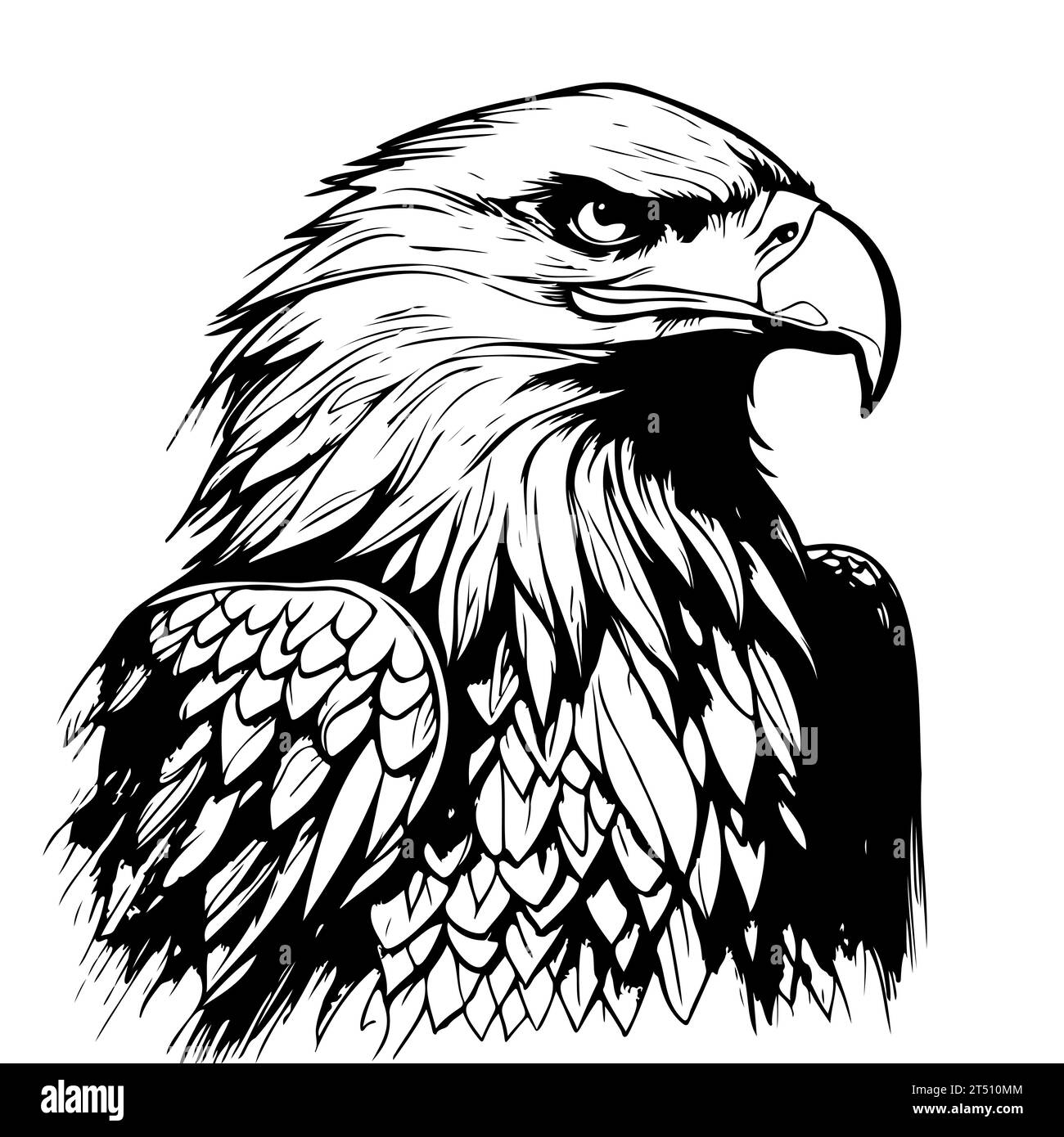Sketch eagle hand drawn vector illustration Stock Vector Image & Art ...
