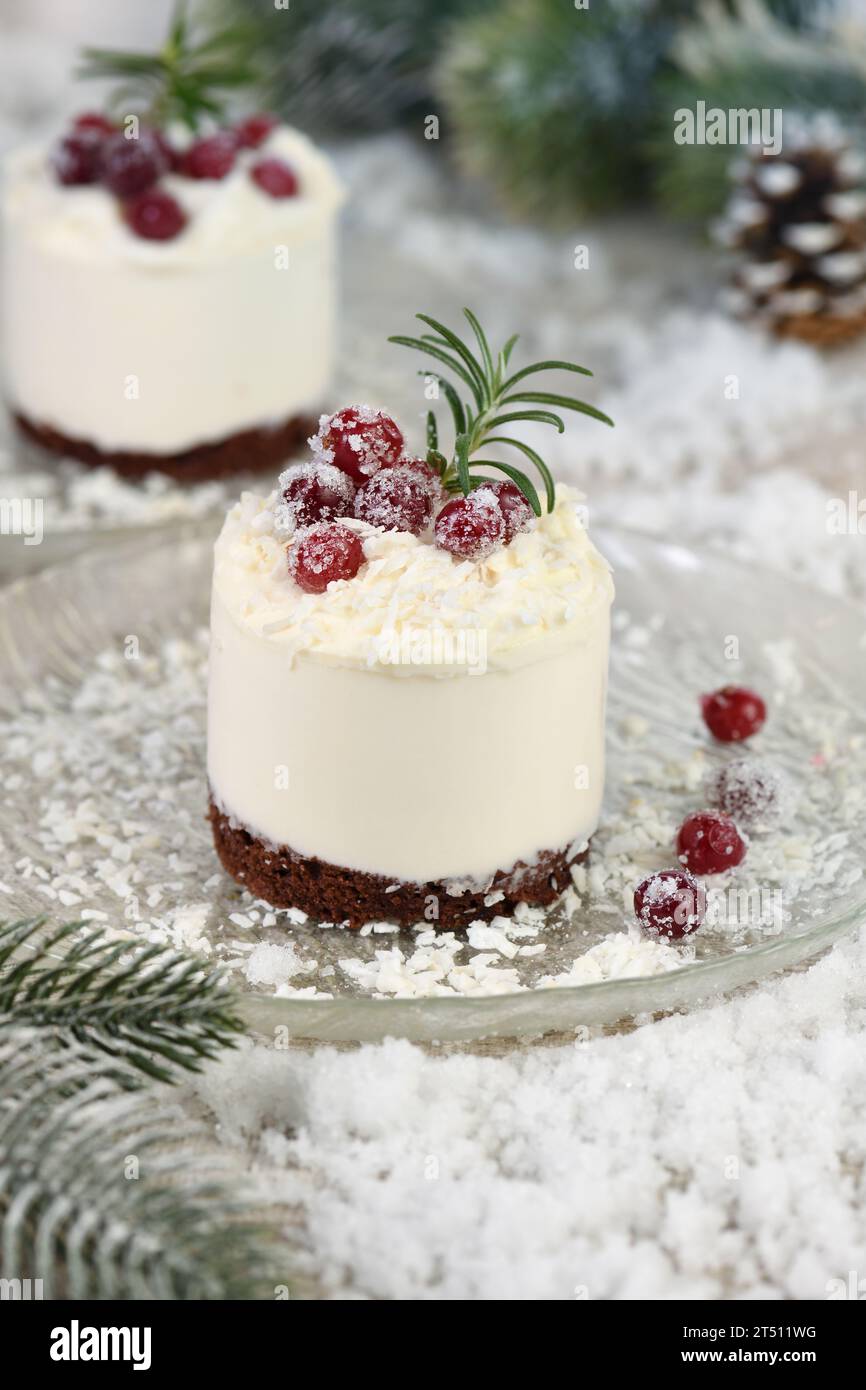 Mousse cakes with coconut cream and Greek yogurt over chocolate cake ...