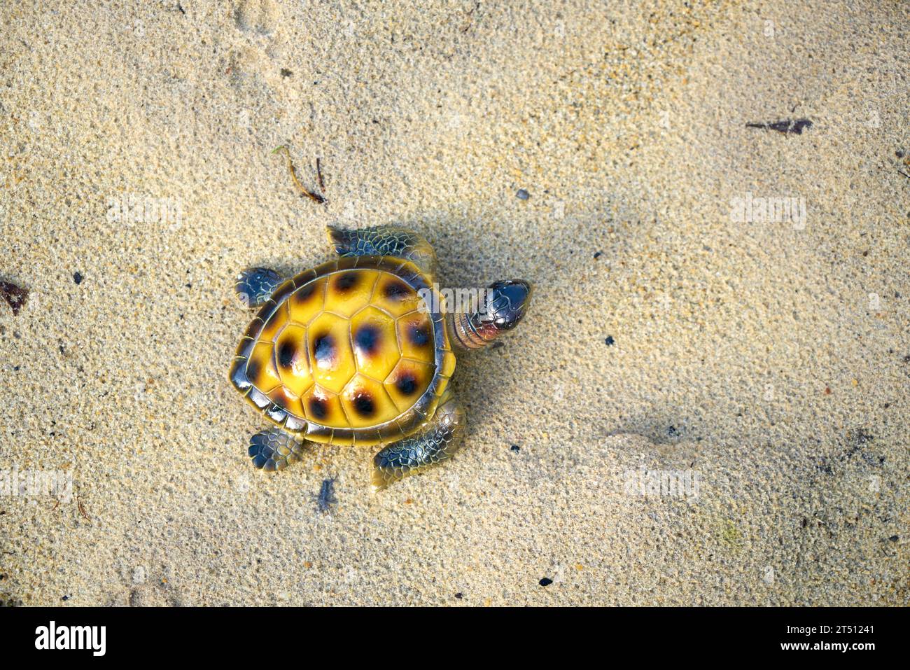 Plastic toy turtle on sand Stock Photo - Alamy