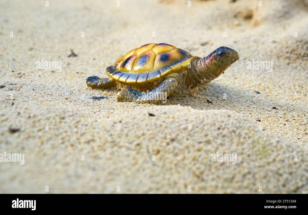 Plastic toy turtle on sand Stock Photo - Alamy