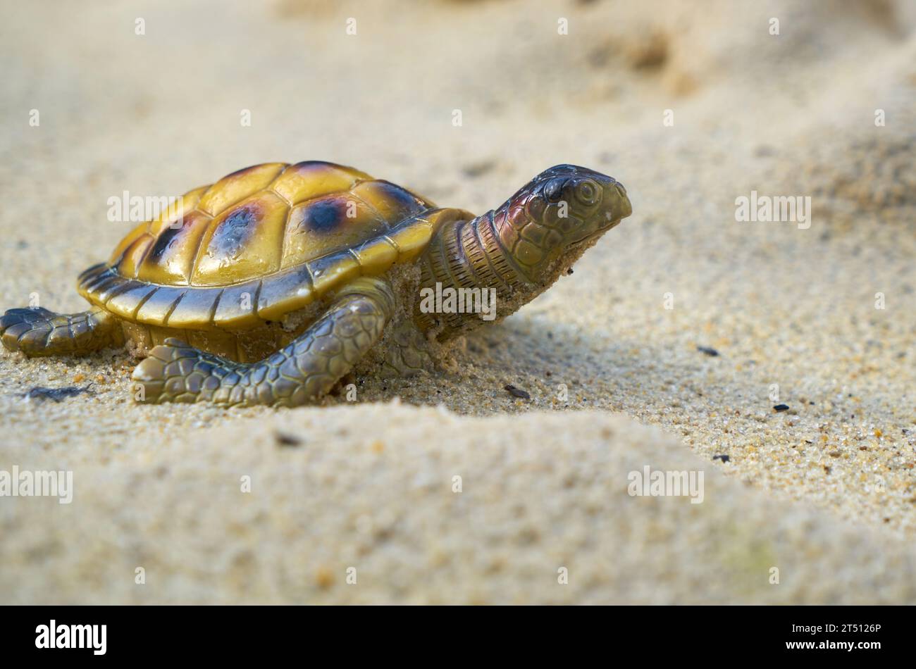 Plastic toy turtle on sand Stock Photo - Alamy