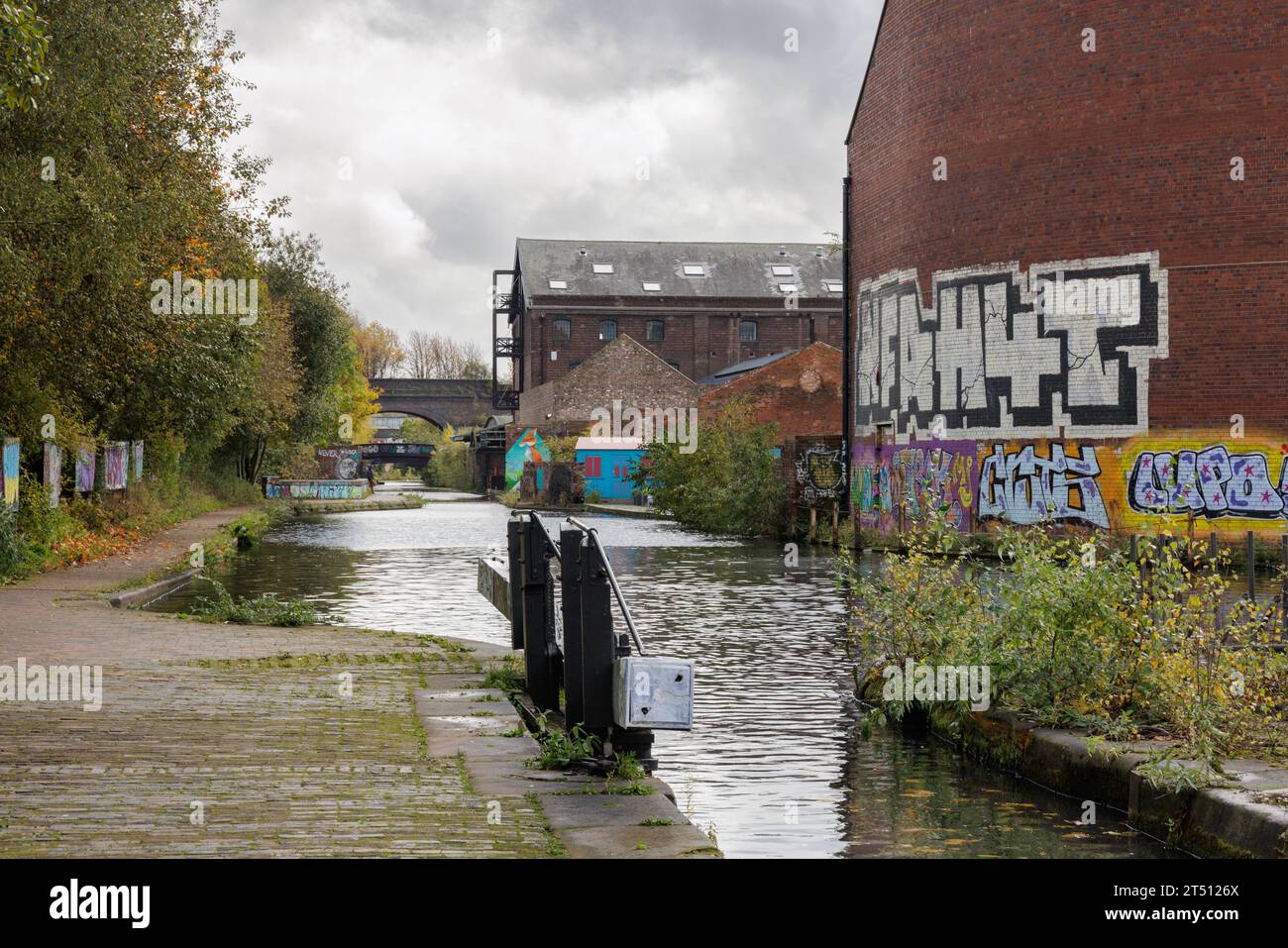 Birmingham, West Midlands, UK: Trees and grafitti covered industrial ...