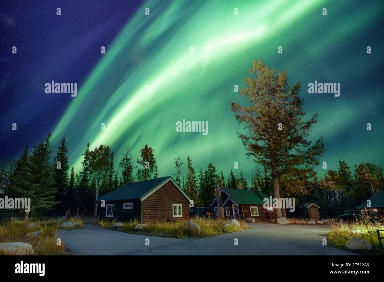Aurora Borealis, Northern lights glowing over wooden cottage in pine ...