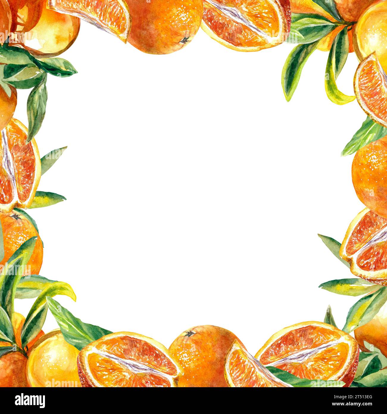 Square frame of bright orange fruit. Watercolor illustration isolated ...