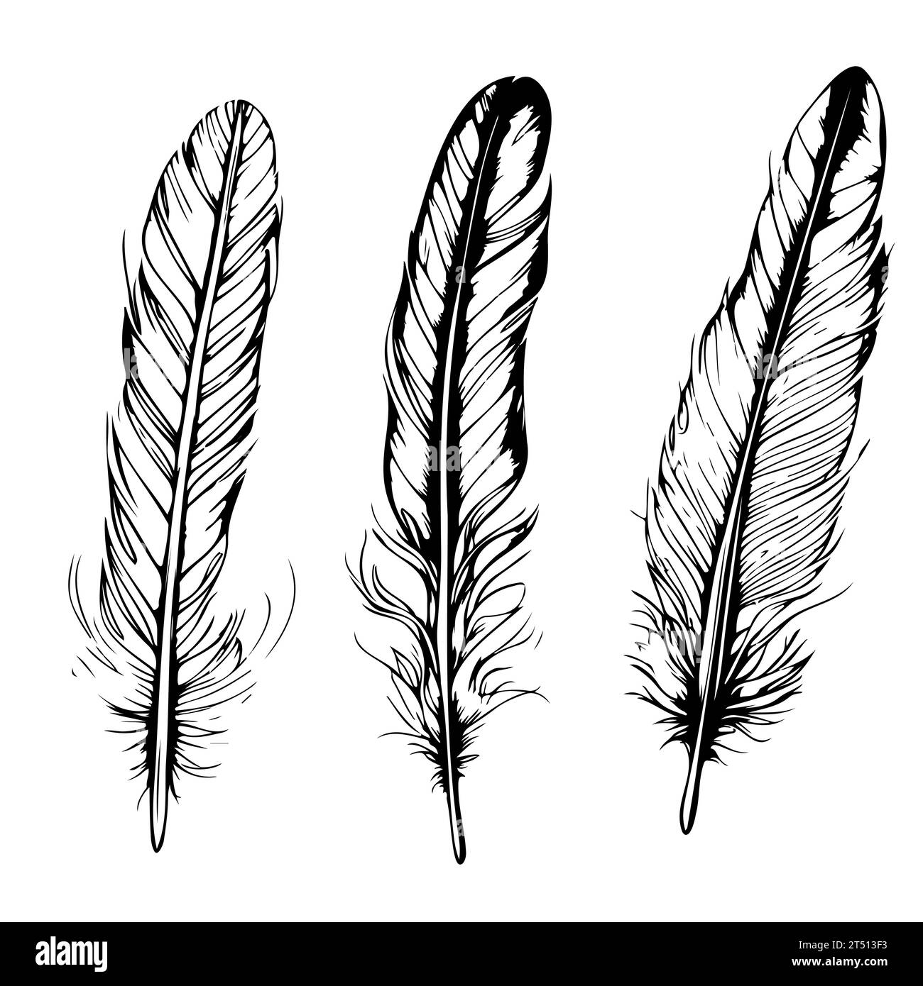 set Hand drawn black fluffy feathers. Vector black and white ...