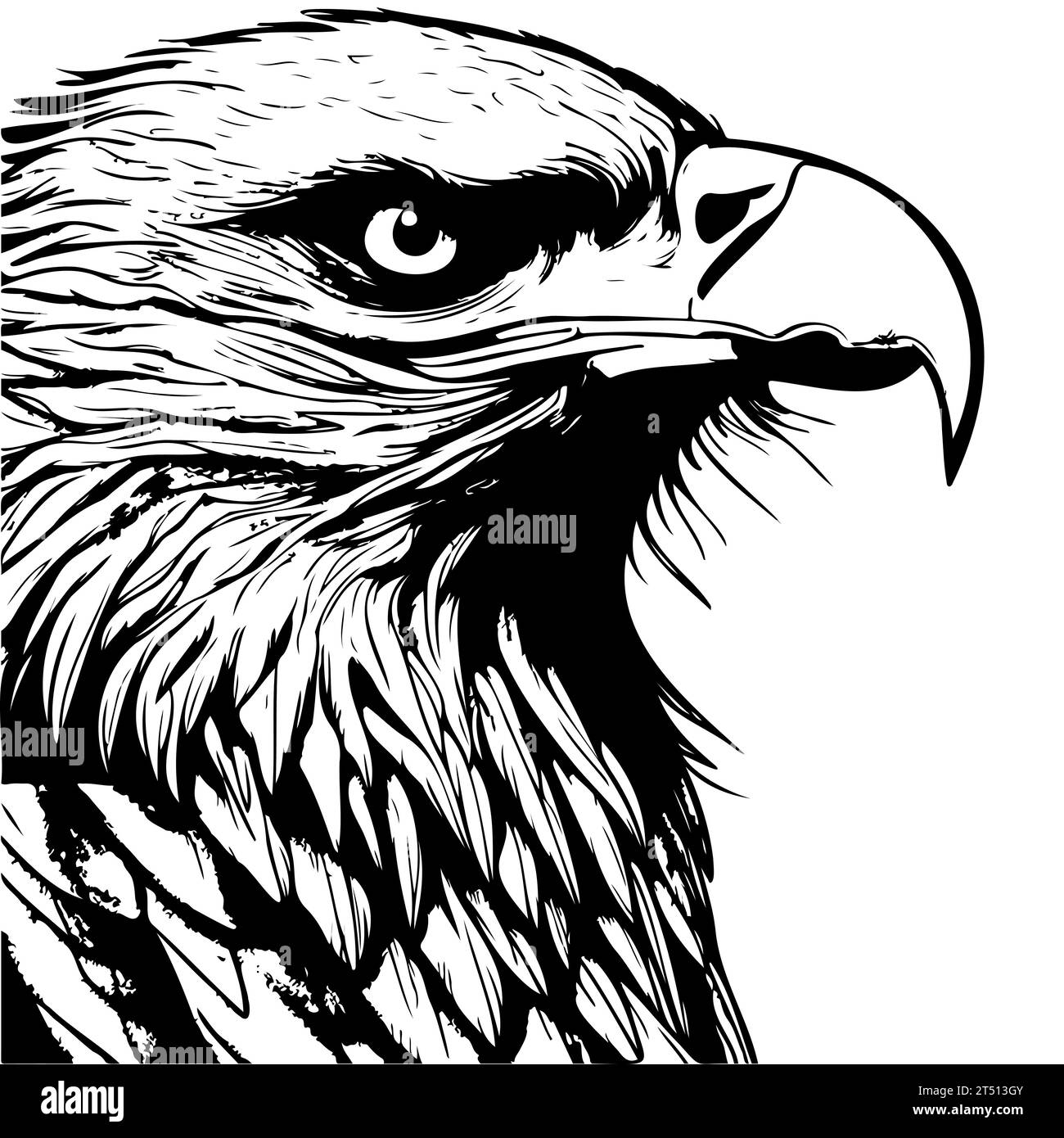 Falcon Clip Art Black And White Falcon Clipart Stock Illustrations