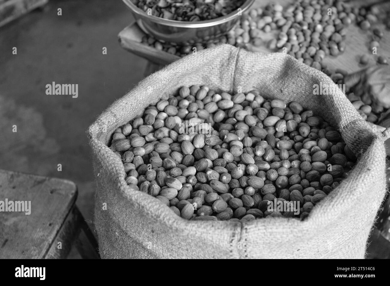 Nutmeg beans in burlap sack. Whole beans packed in bulk bags. Raw beans ...
