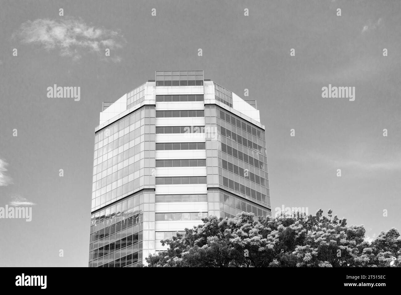 image of skyscraper building architecture. skyscraper building ...