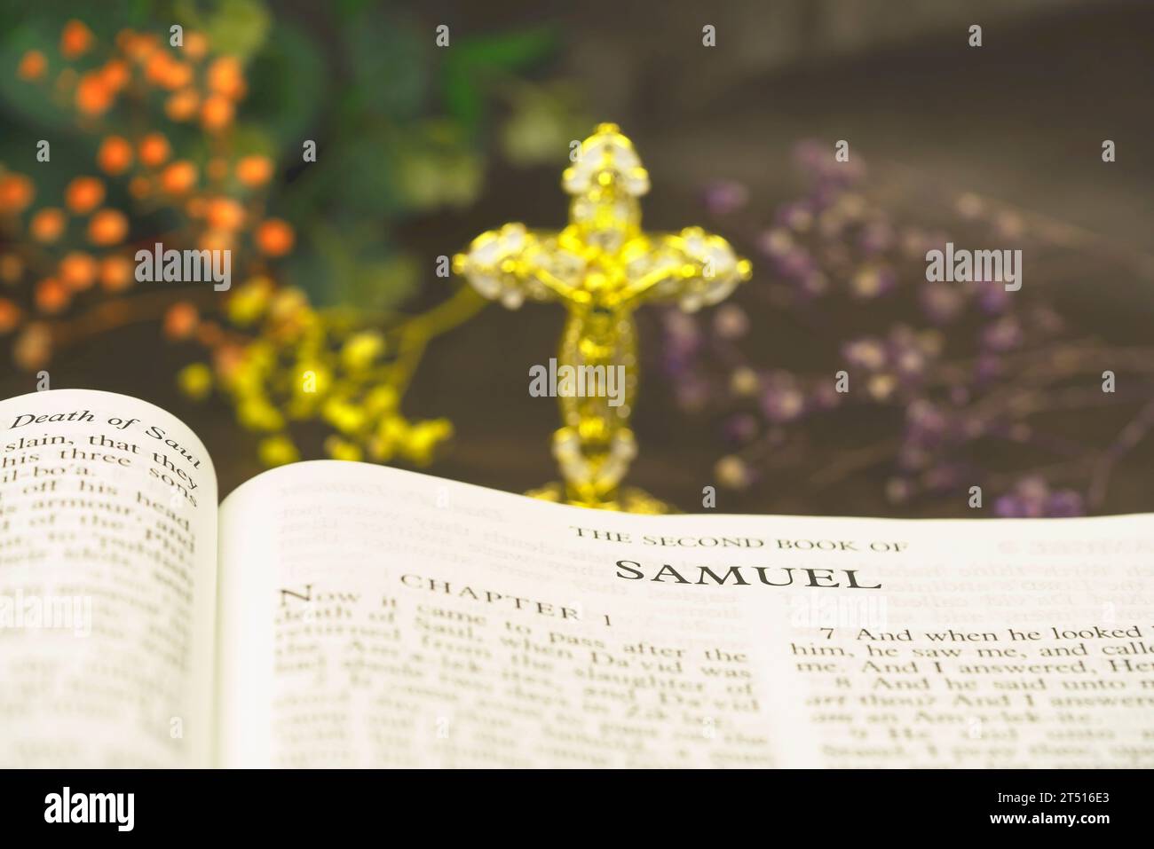 The second book of samuel holybible for background and inspiration of ...