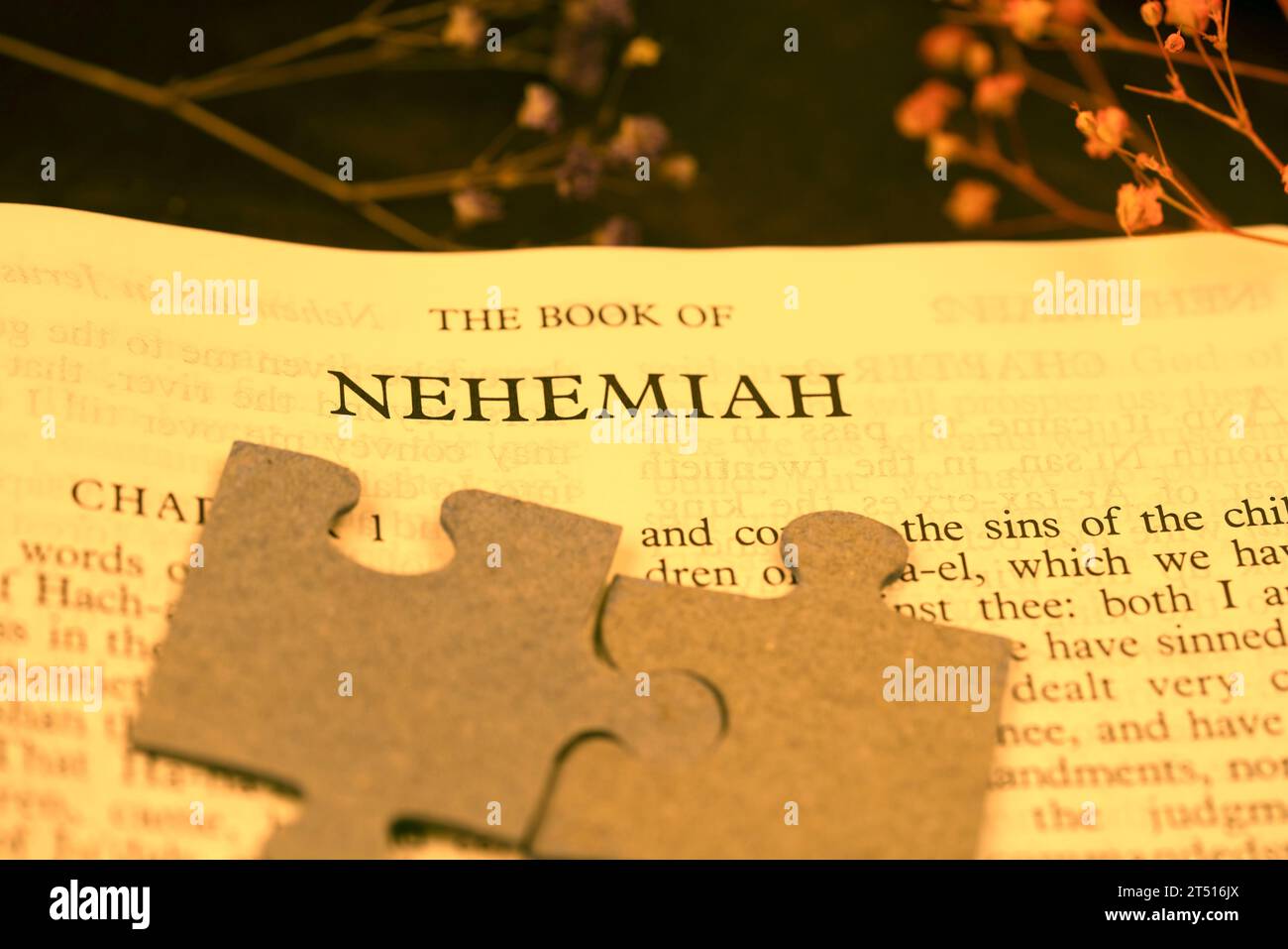 The Holybible book of The book of Nehemiah Index for background and ...