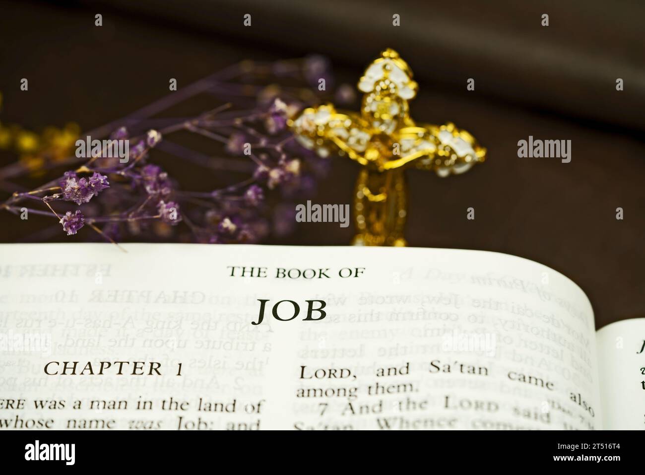The Holybible book of The book of Job Index for background and ...