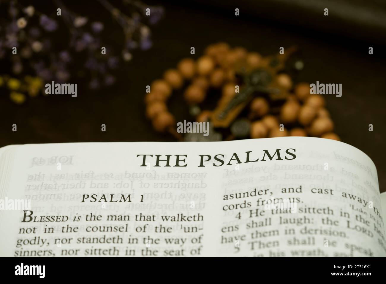 The Holybible book of The book of Pslams Index for background and ...
