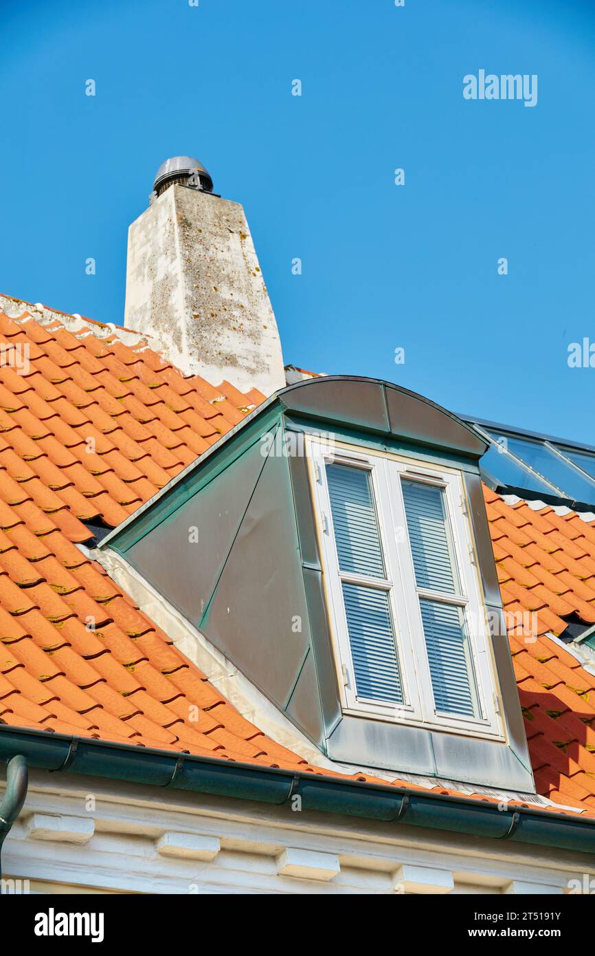 Chimney chute, window and sunroof skylight designed on house building ...