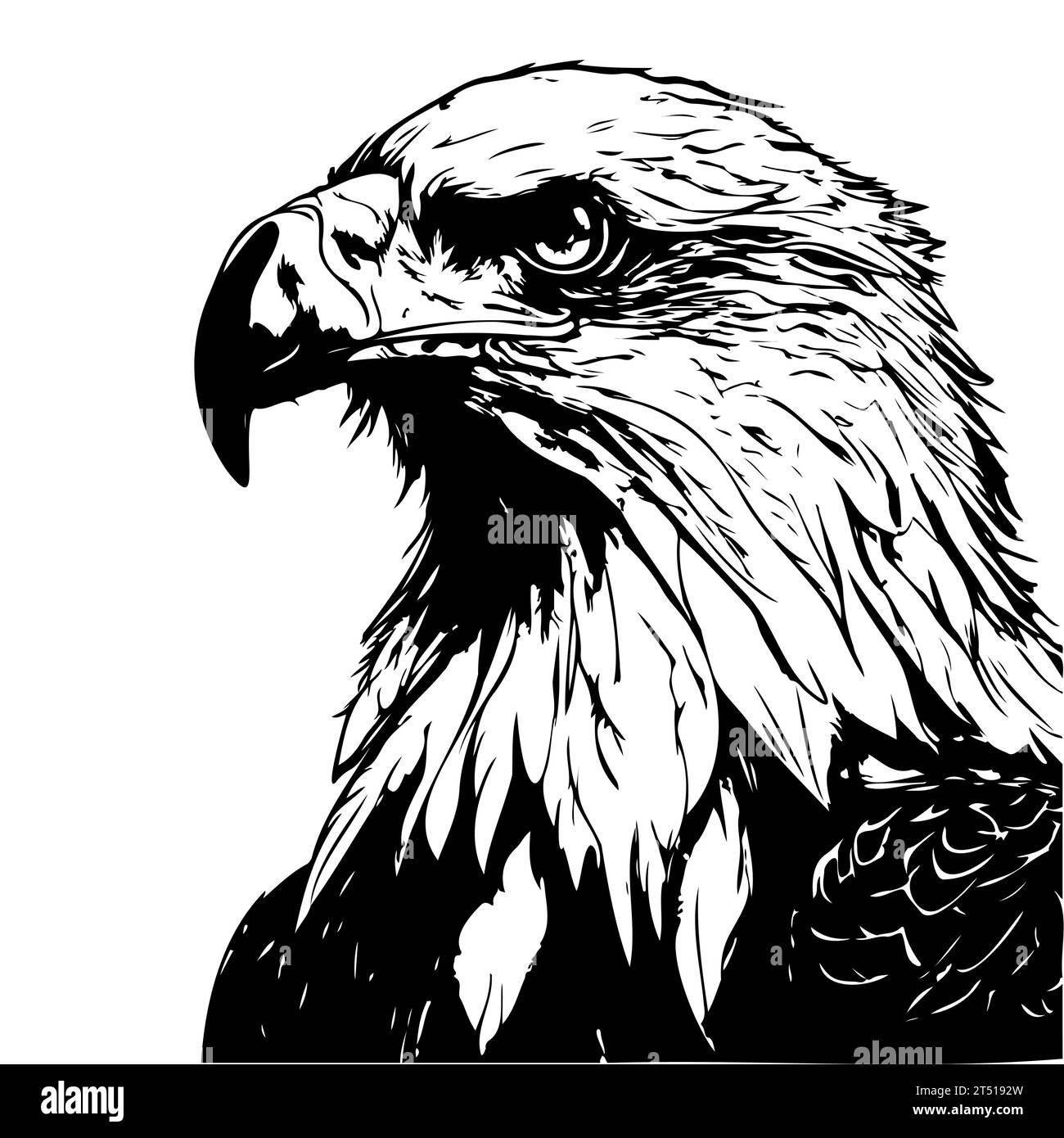 Hand drawn sketch of eagle isolated on white background. Vector ...