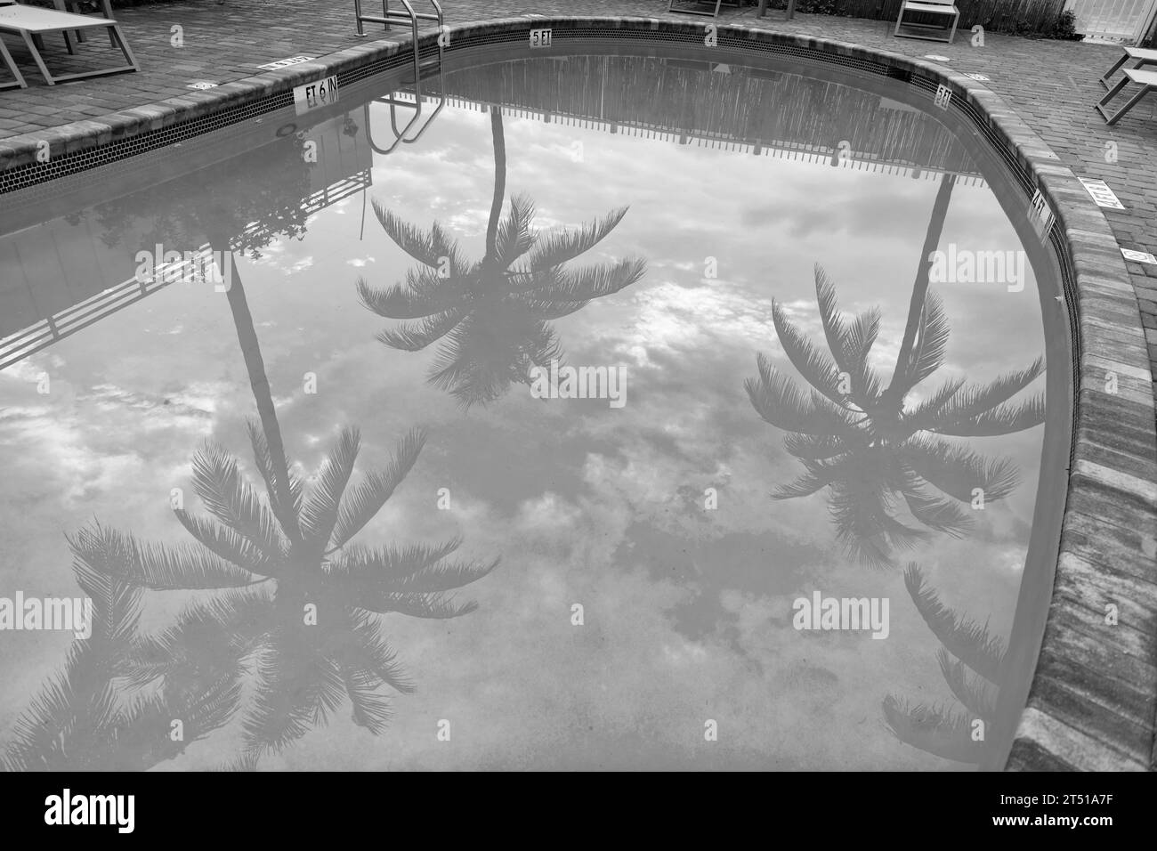 summer vacation pool with reflection. summer vacation pool with palm ...