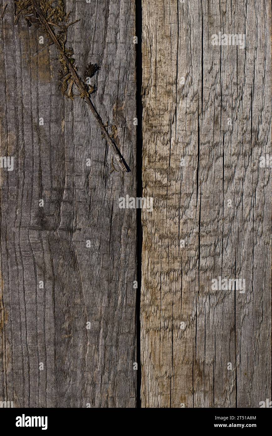 A captivating image featuring evenly arranged aged pine planks ...