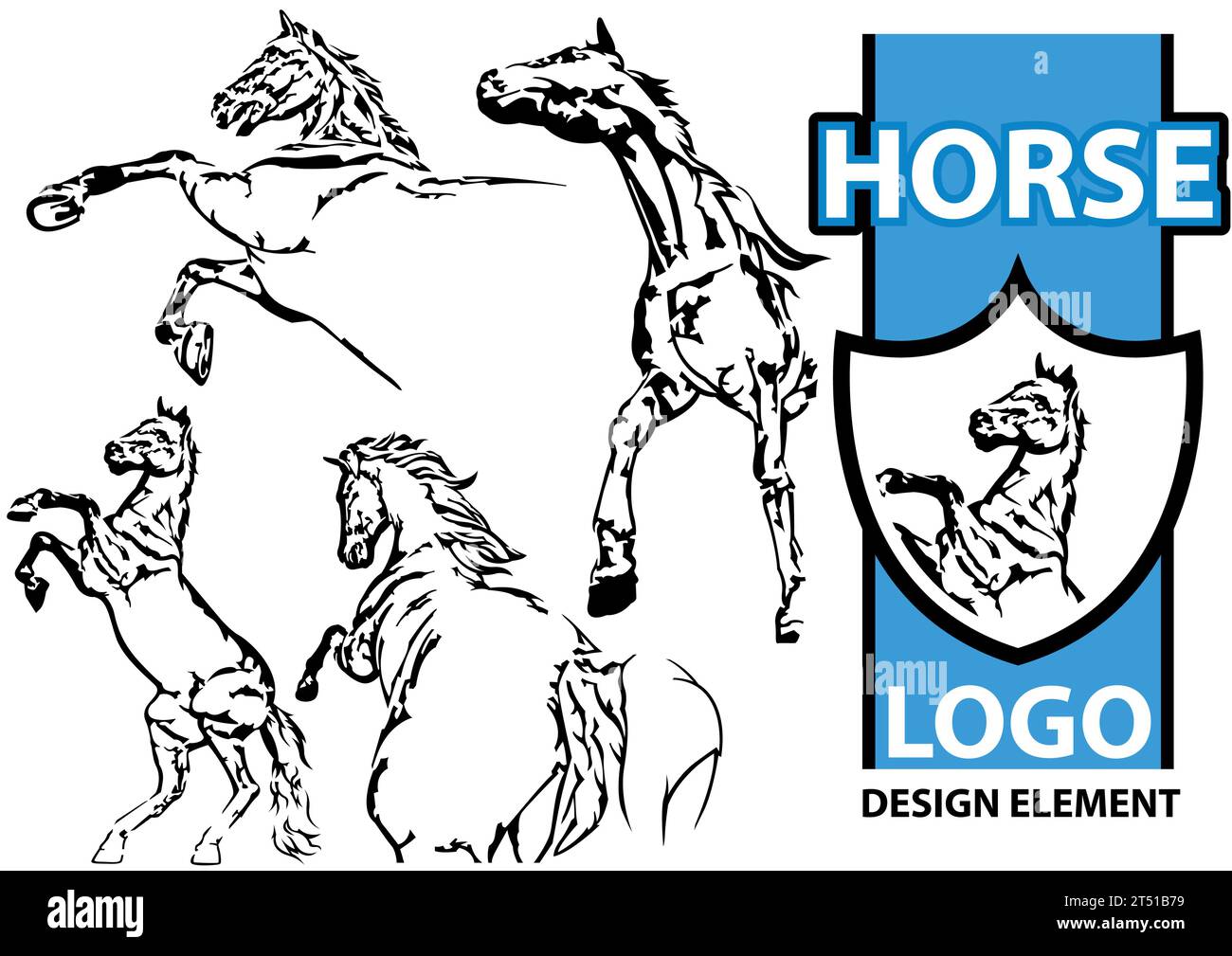 Set of Drawings of Horse as Logo Design Elements Stock Vector Image ...