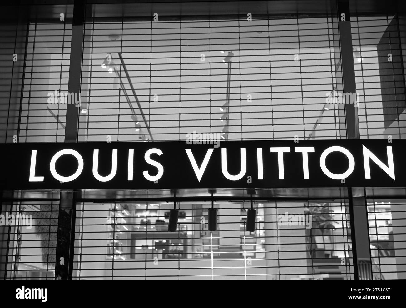 What Is The White Louis Vuitton Called