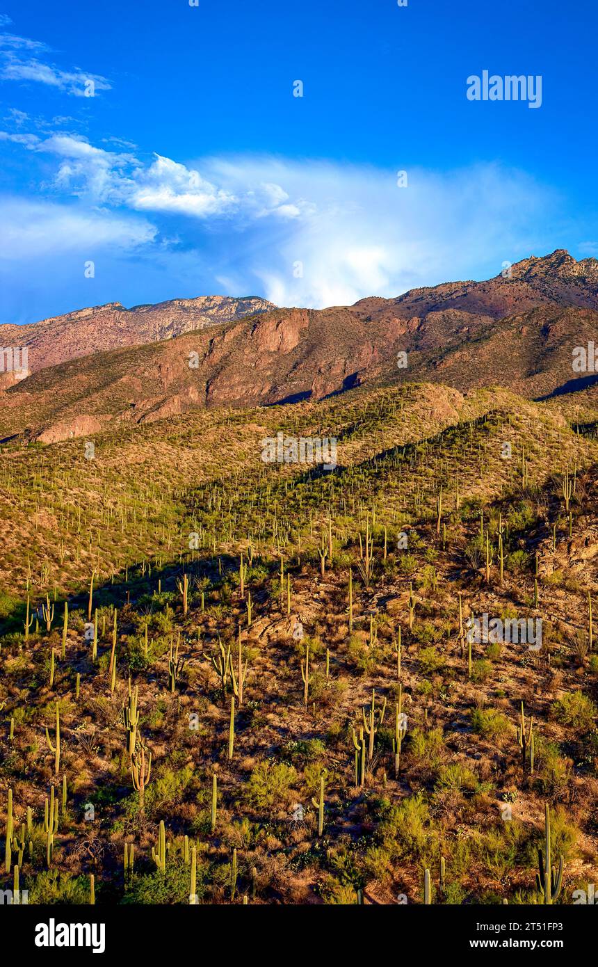 The breathtaking landscape of Sabino Canyon in Arizona with rolling ...