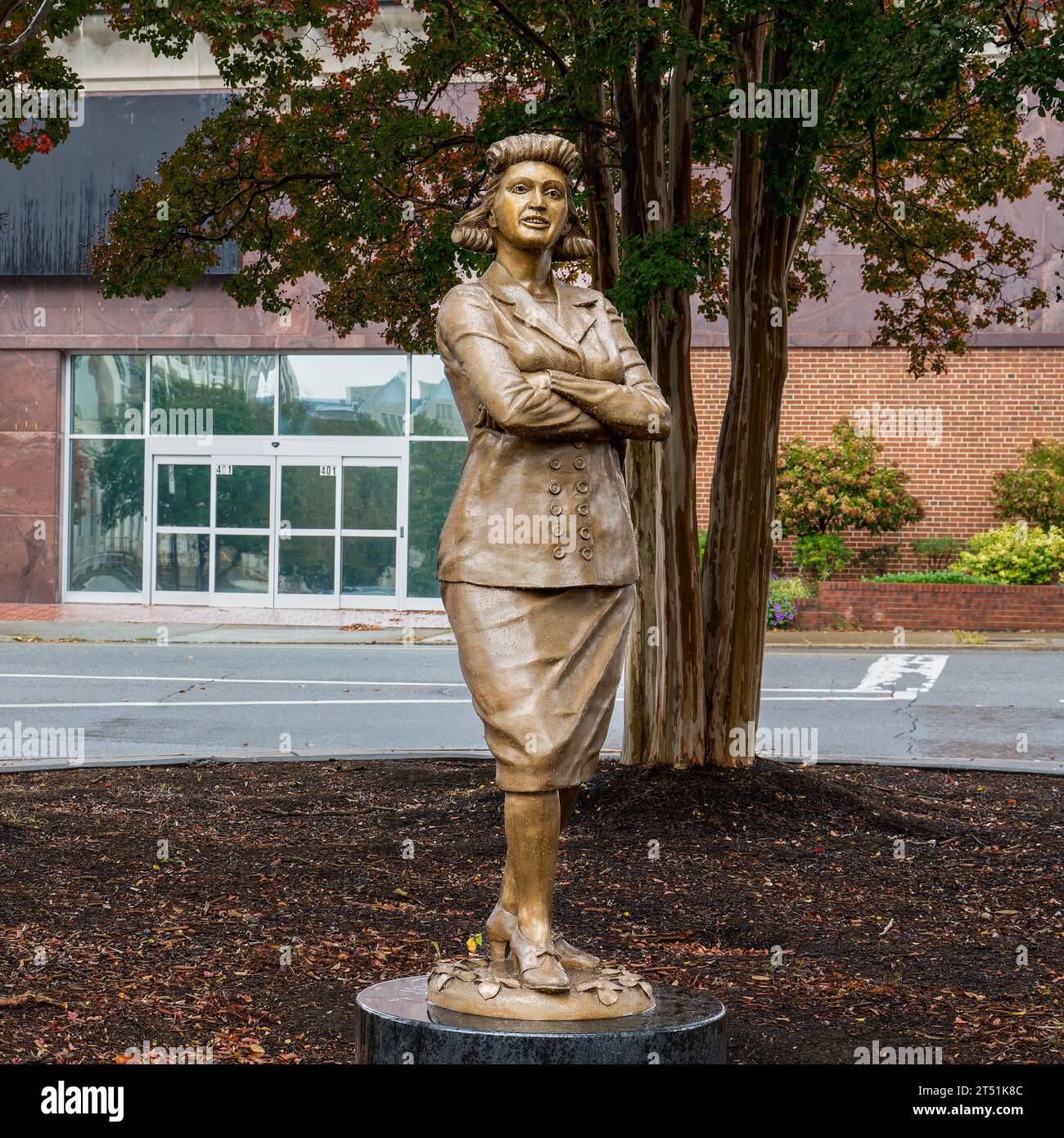 Henrietta lacks hi-res stock photography and images - Alamy