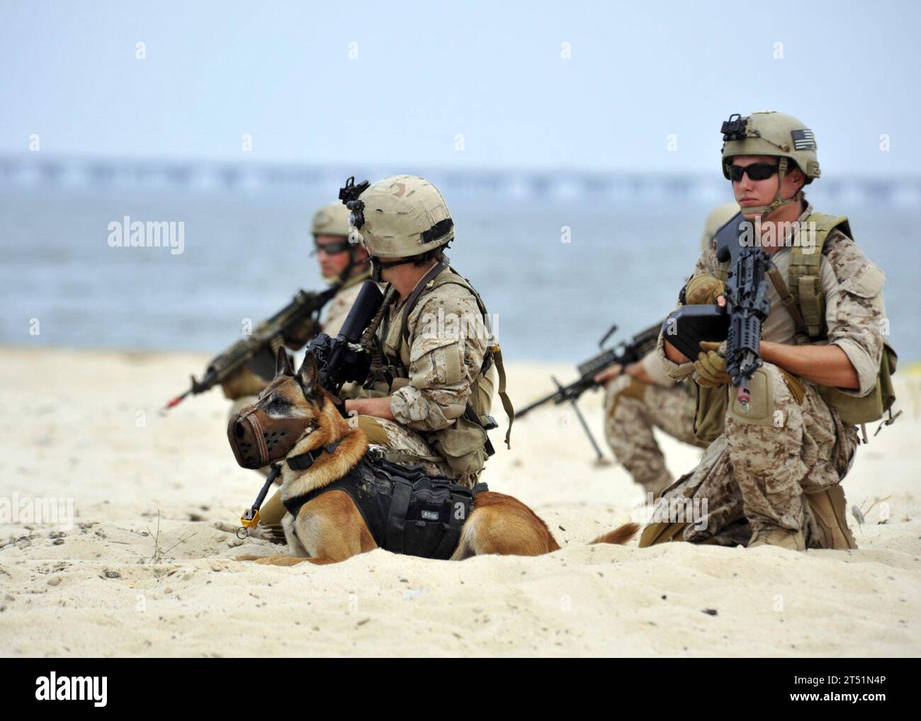 Udt seal hi-res stock photography and images - Alamy