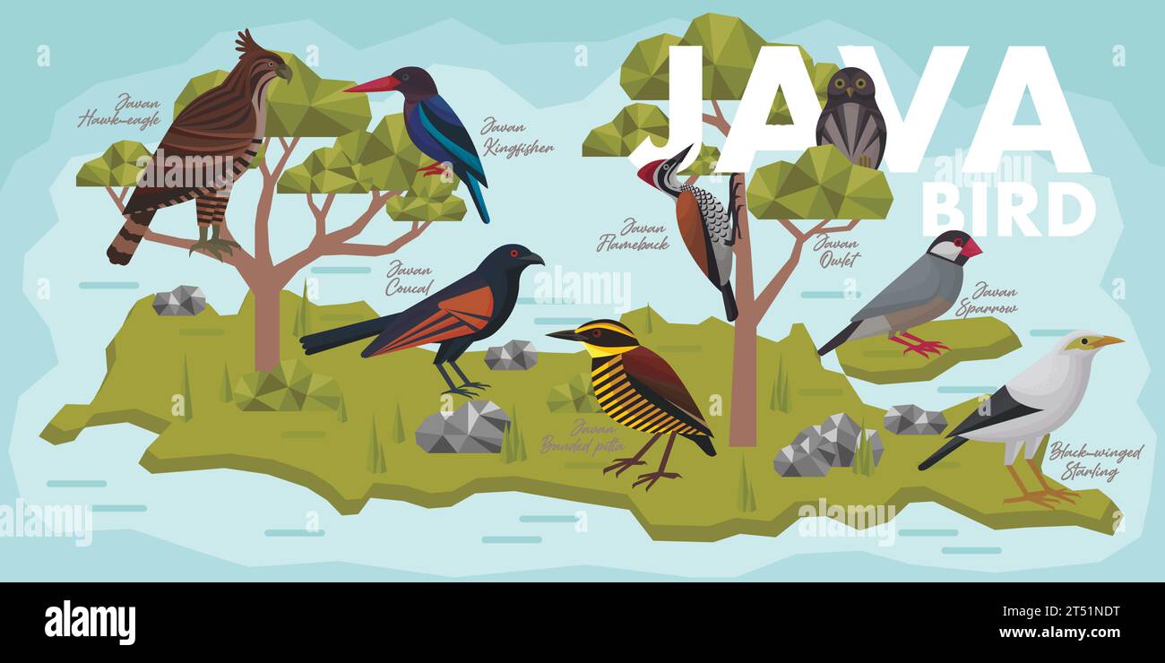 Birds of indonesia Stock Vector Images - Alamy