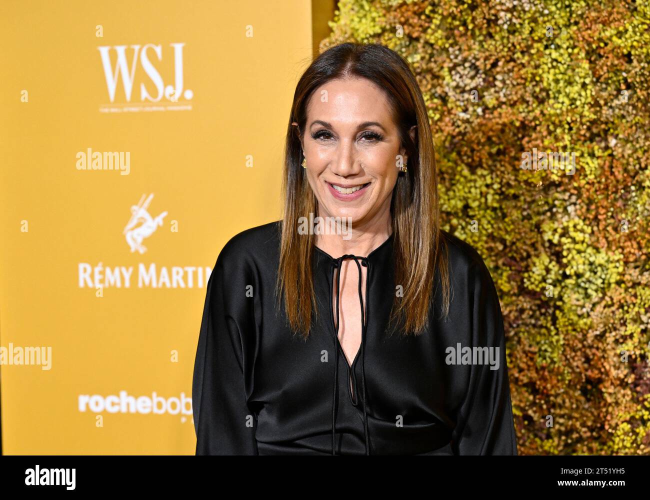 Jane Hertzmark Hudis attends the WSJ. Magazine Innovator Awards at the ...