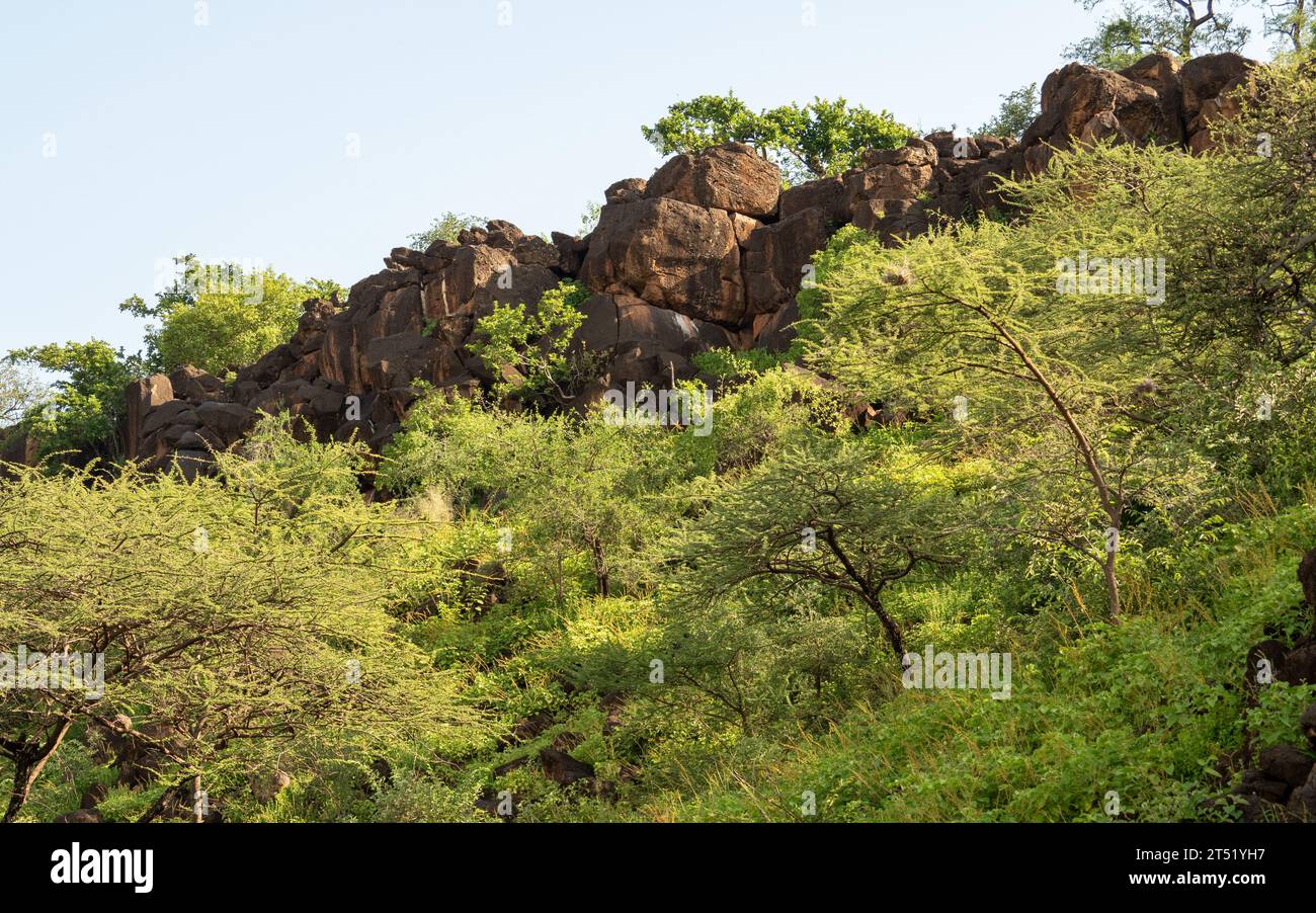 Cliff in the rift valley in Kenya Stock Photo - Alamy