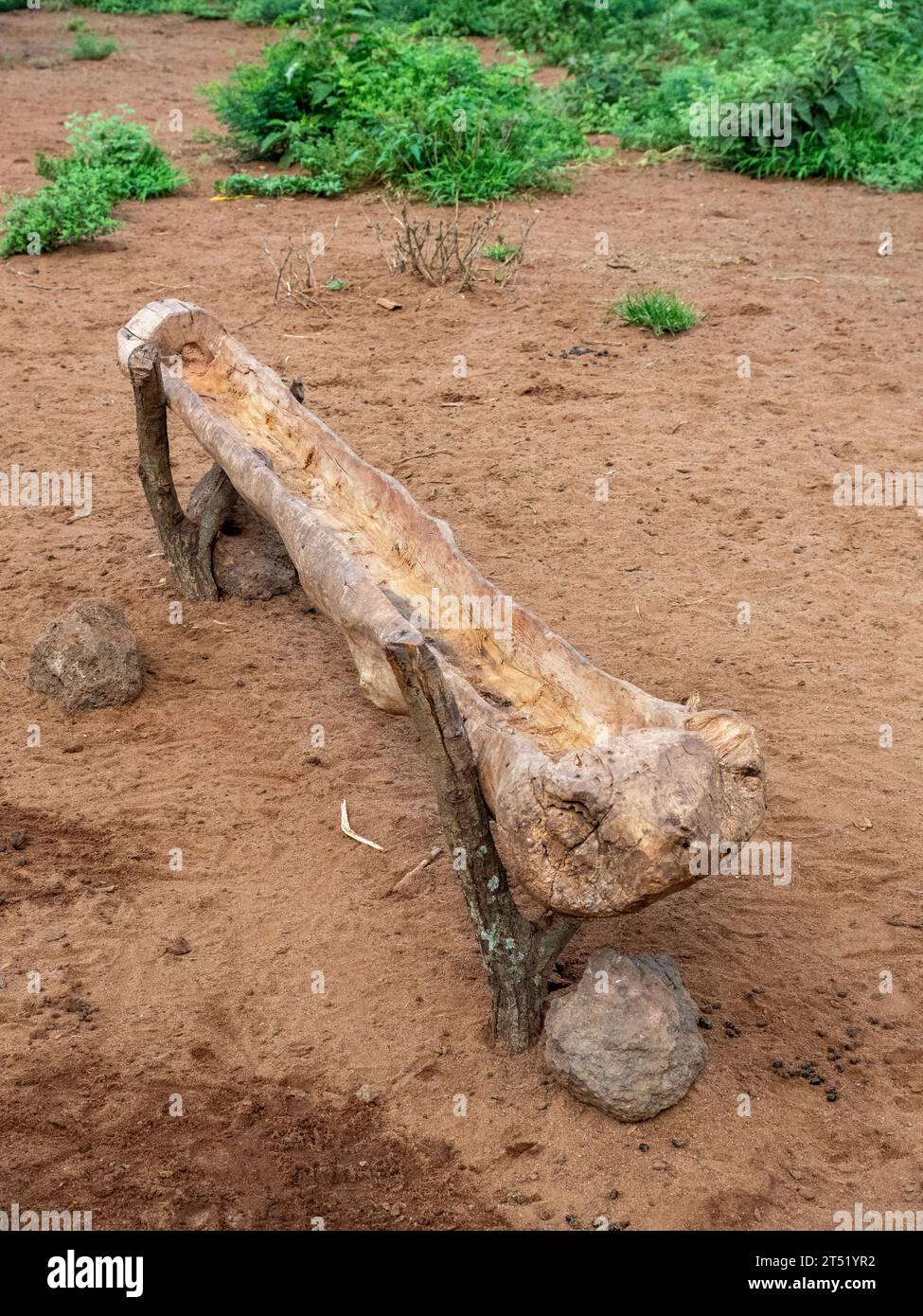 Livestock Wooden Water Trough in a Maasai Village, Kenya Stock Photo ...