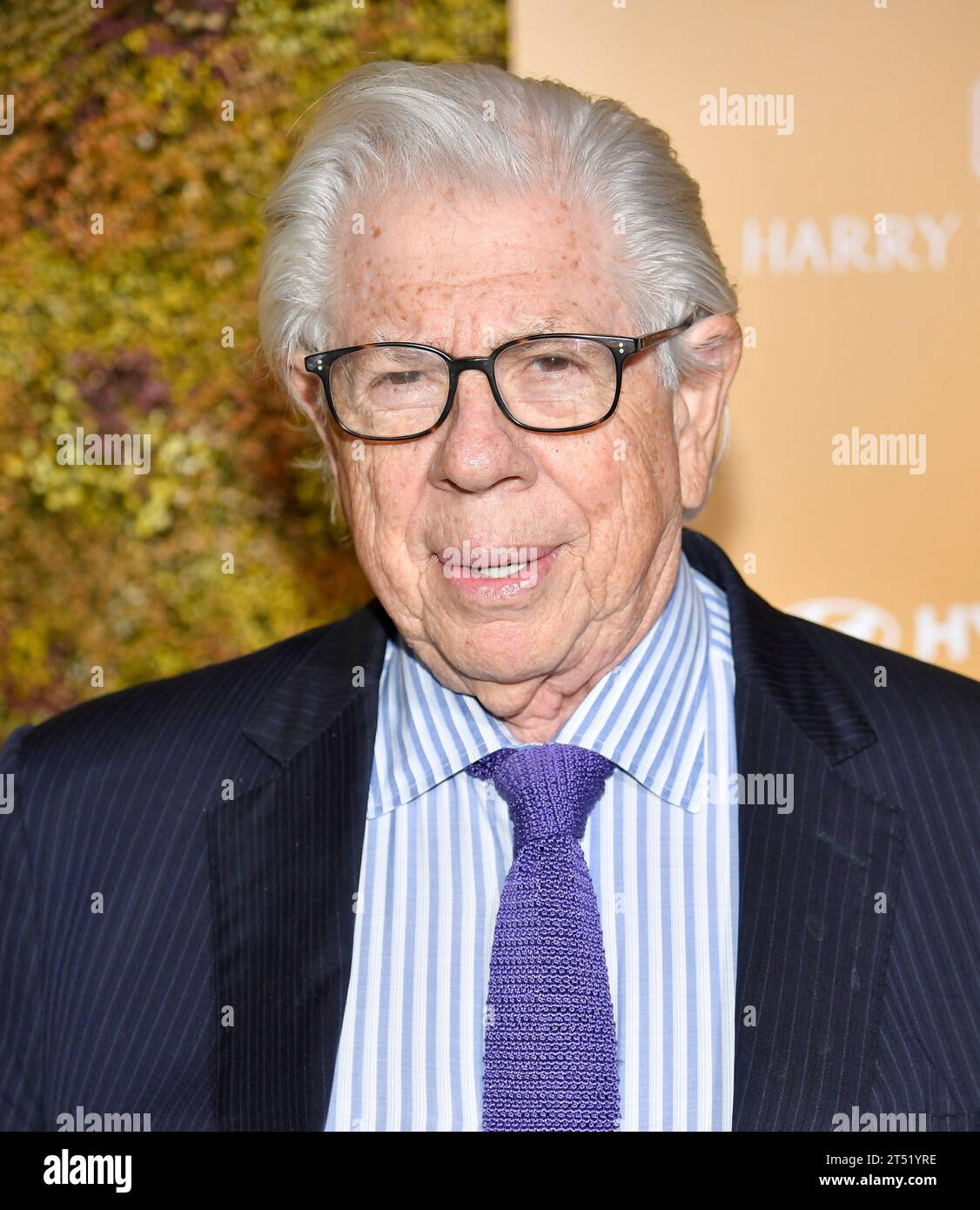 Carl Bernstein attends the WSJ. Magazine Innovator Awards at the Museum ...