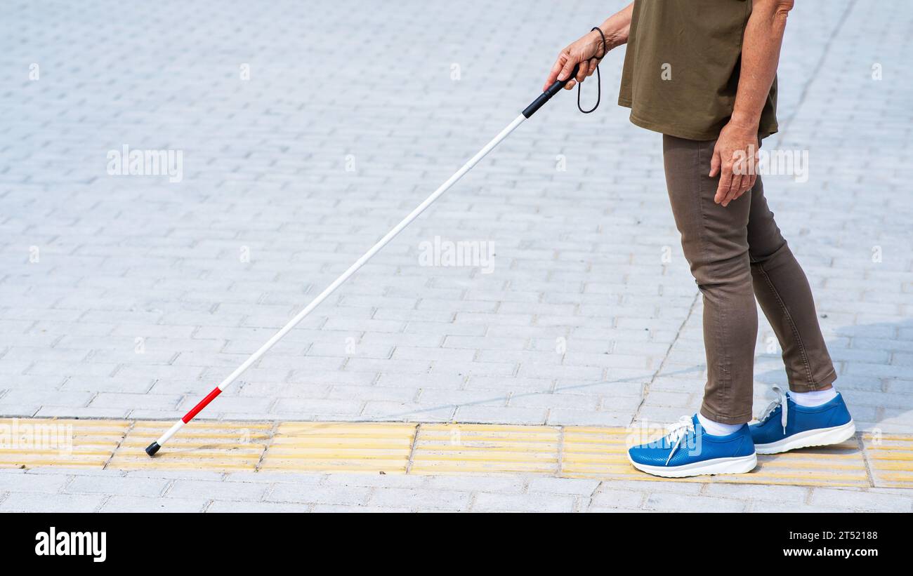Close-up of the legs of an elderly blind woman with a cane at a tactile ...