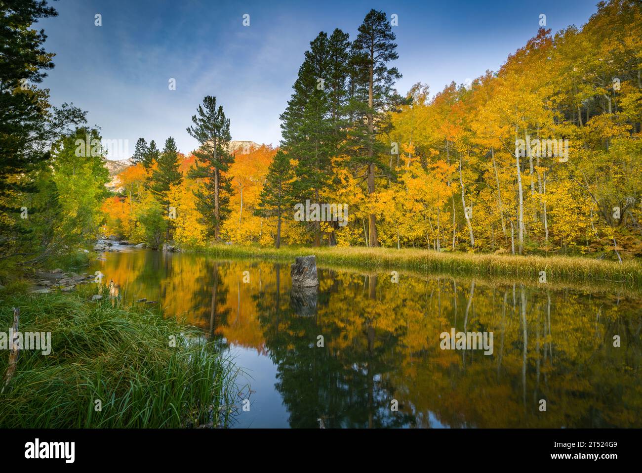 Fall Colors Along the Middle Fork Bishop Creek in the Eastern Sierra ...