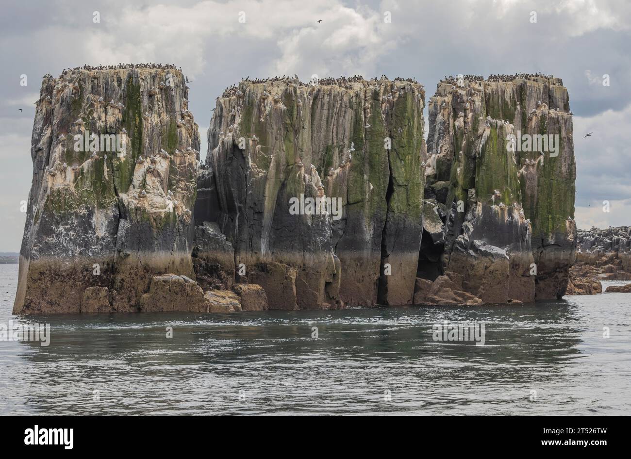 Three stacked rocks out at sea on the Farne Islands covered in sea ...