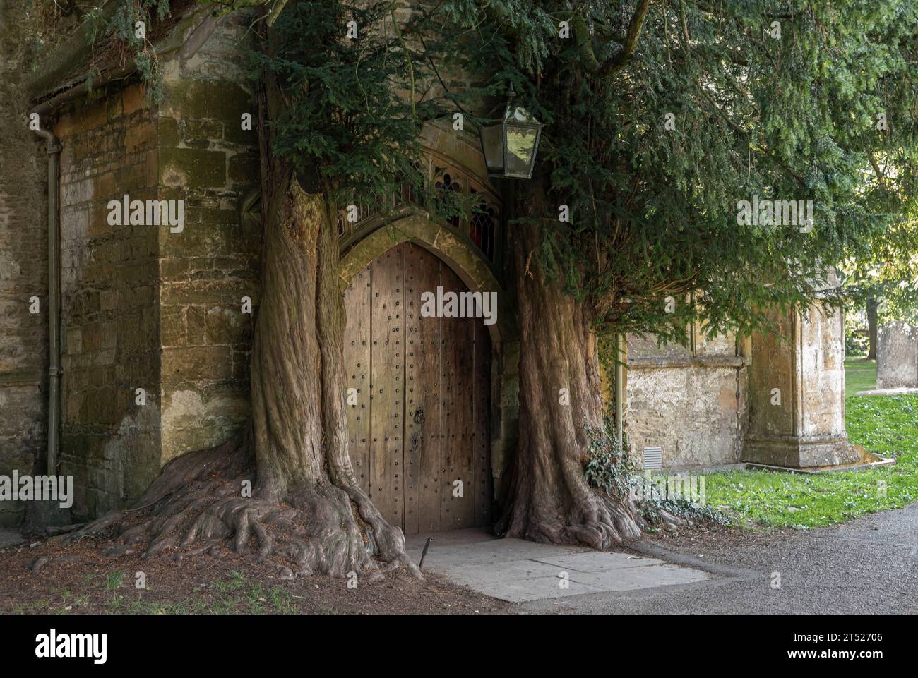 The yew tree door hi-res stock photography and images - Alamy