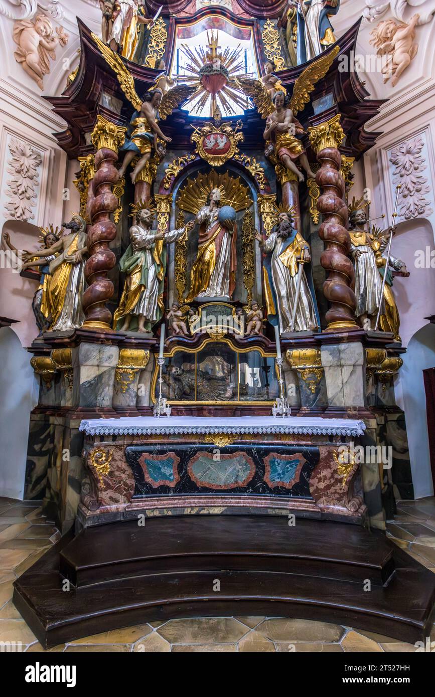 Catacomb saint in the collegiate basilica of Waldsassen. 10 holy bodies ...