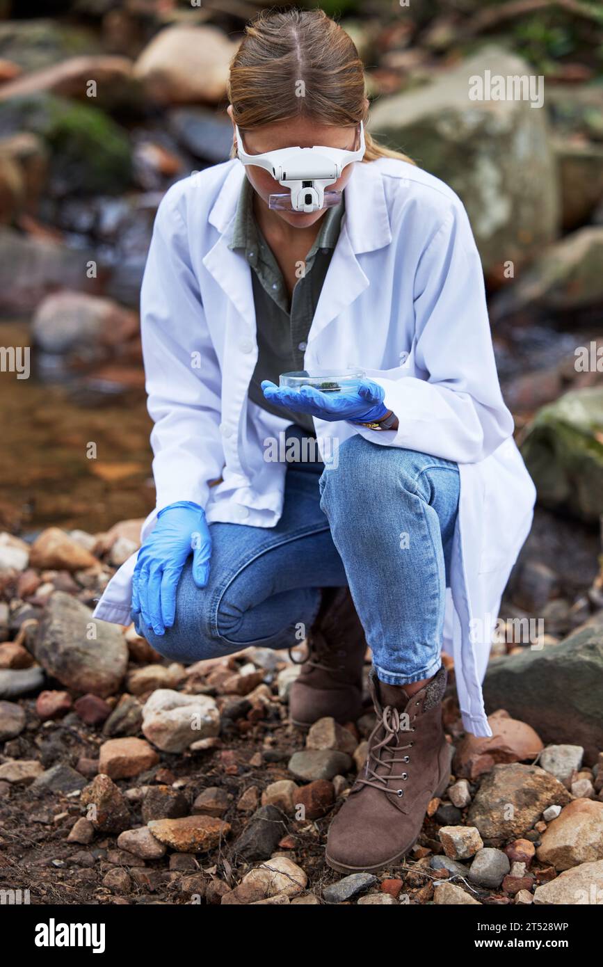 Research, rock and woman scientist test sample for inspection of the ...