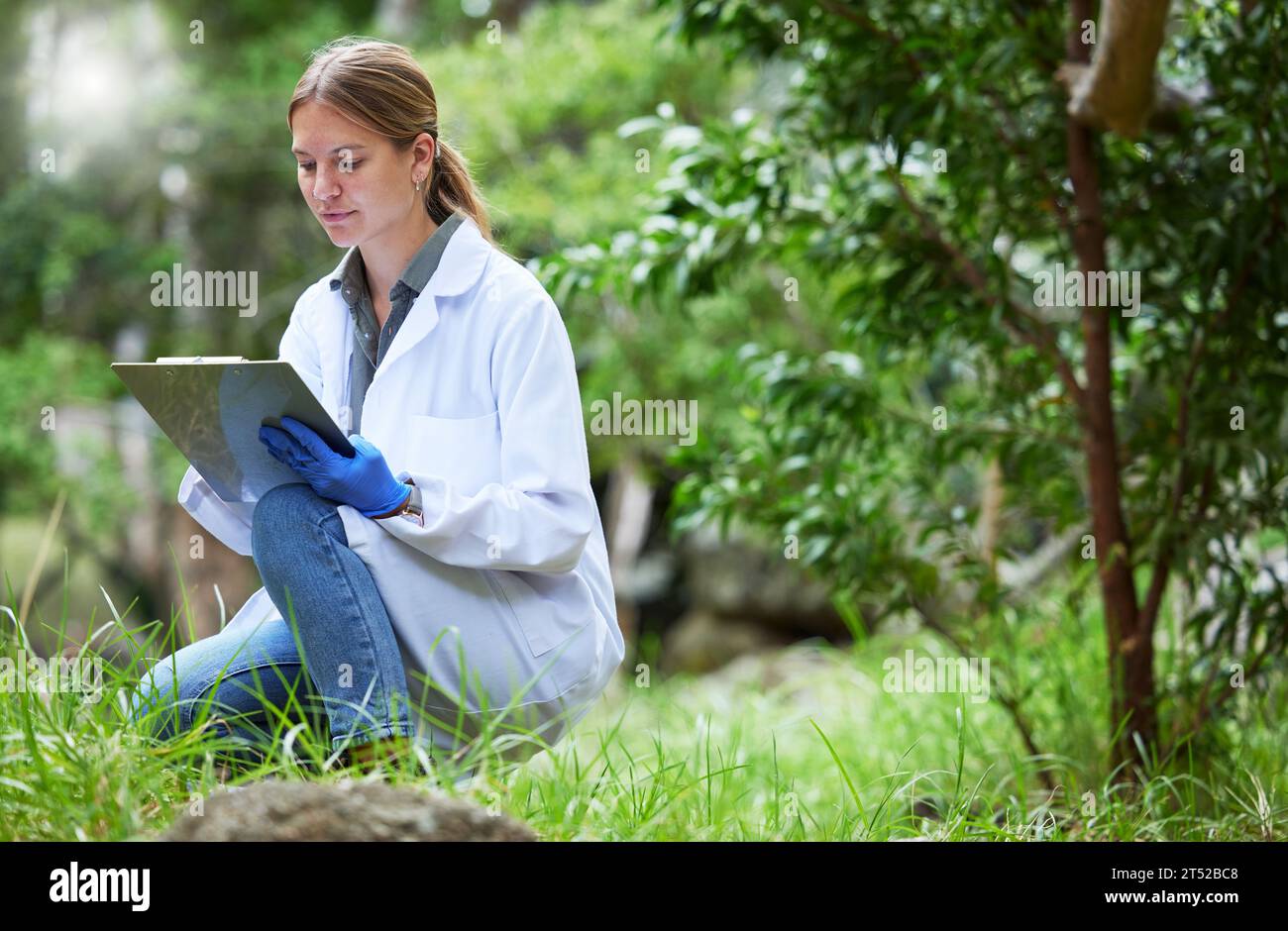 Science in forest, checklist of plants and woman in nature, studying ...