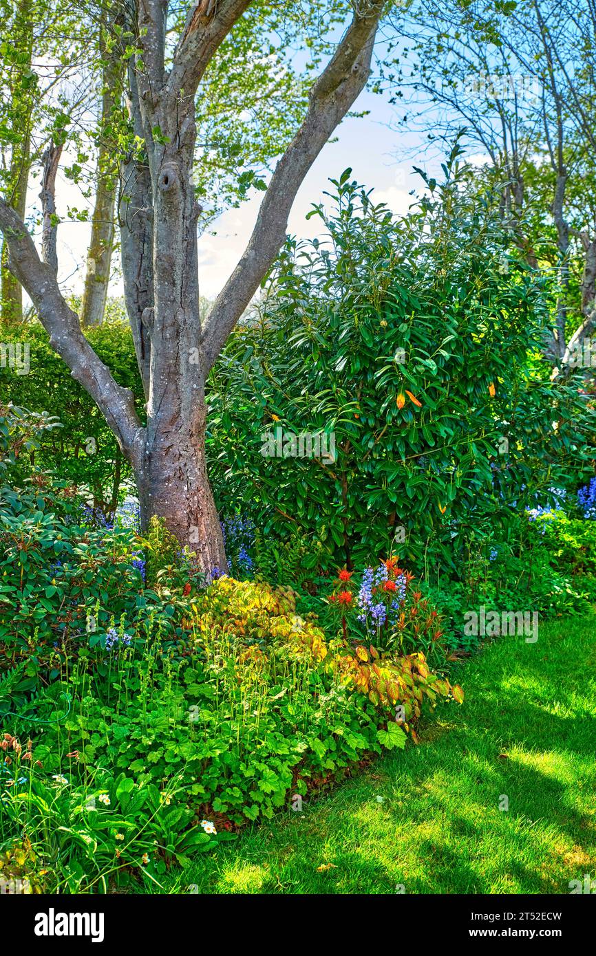 Closeup natural view of beautiful trees and nature. Bright colorful ...