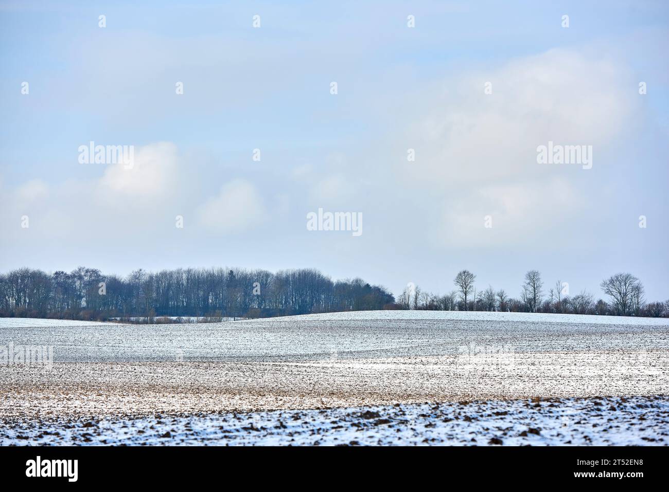 Open field with snow in winter on a farm with copy space during the day ...