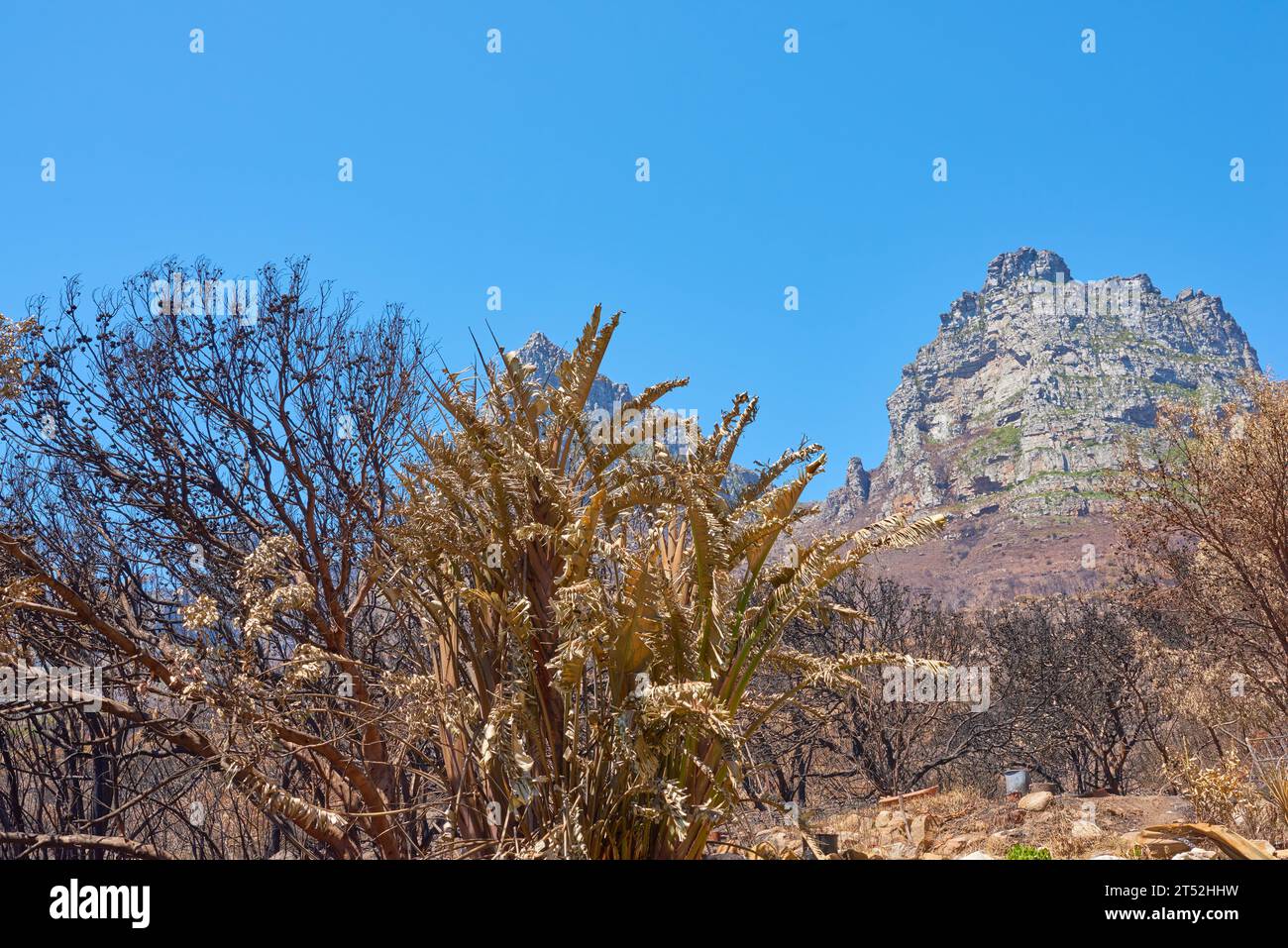 Twelve Apostles at Table Mountain in Cape Town against a clear blue sky ...