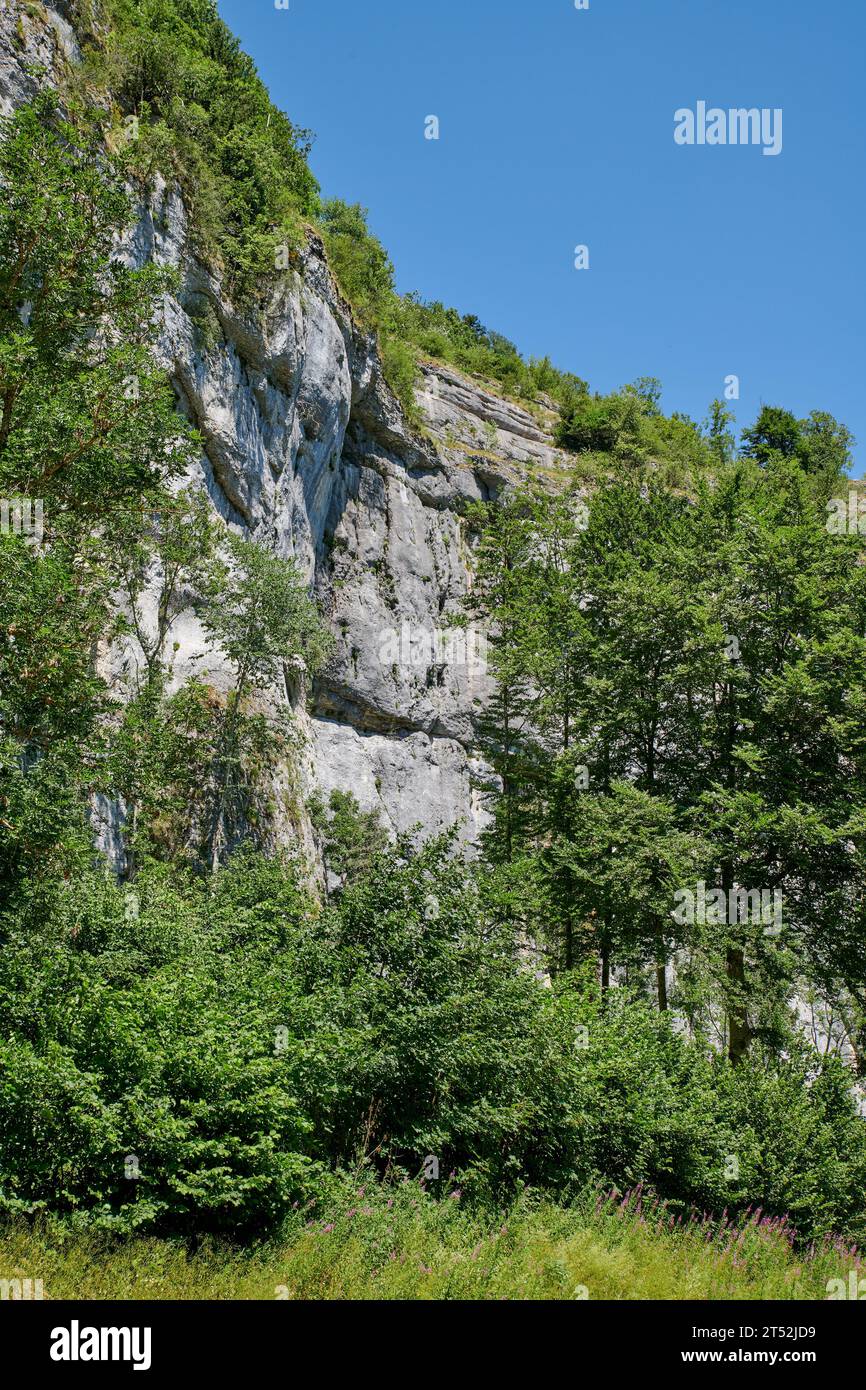 Landscape mountain view of steep stone cliffs and lush green foliage ...