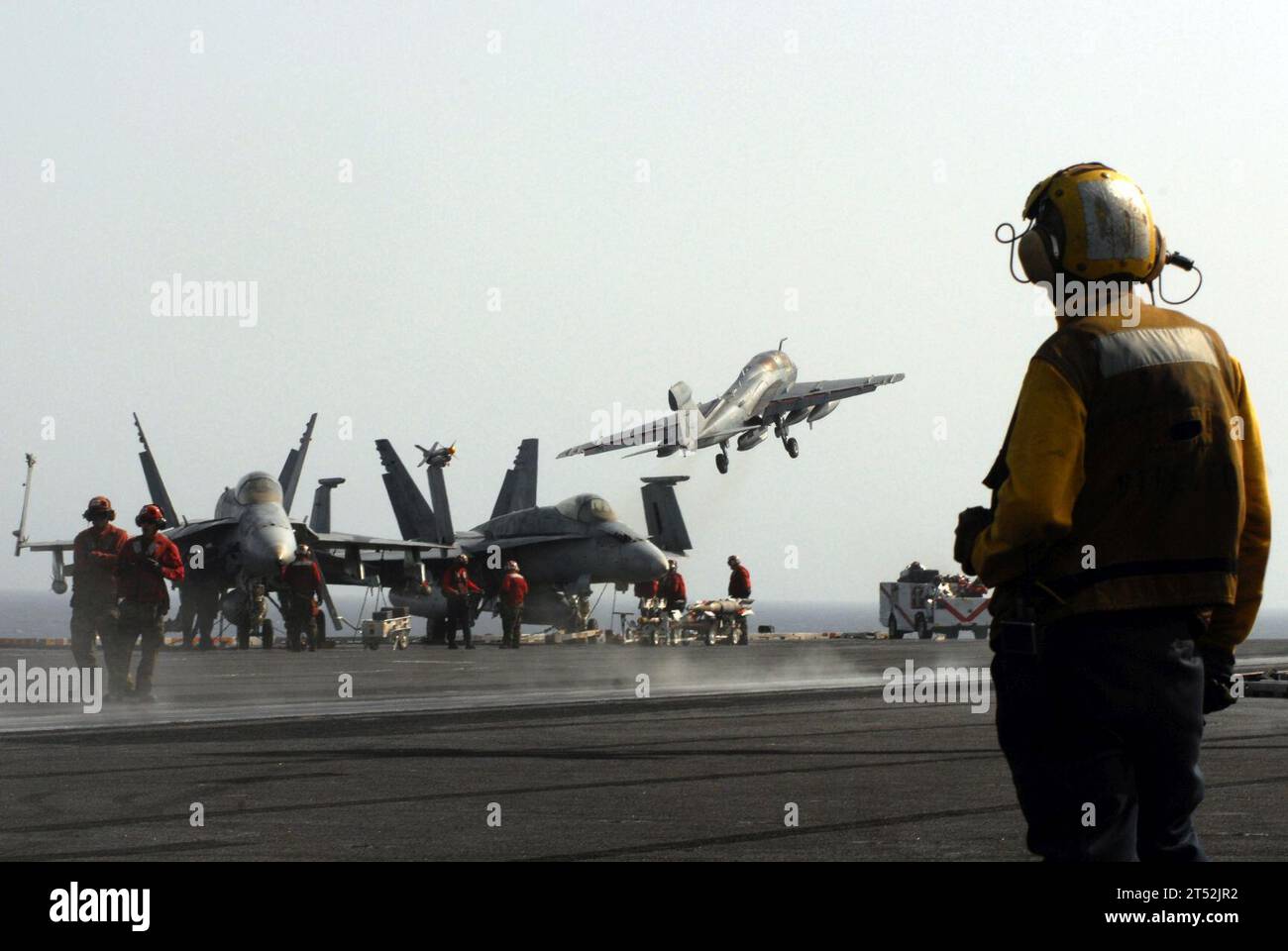 Yellow_jackets hi-res stock photography and images - Alamy