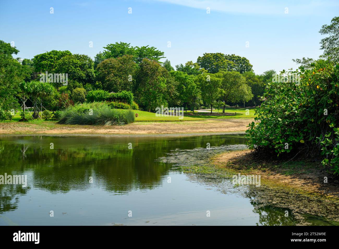 The Eco-Lake at Singapore Botanic Gardens, Singapore Stock Photo - Alamy