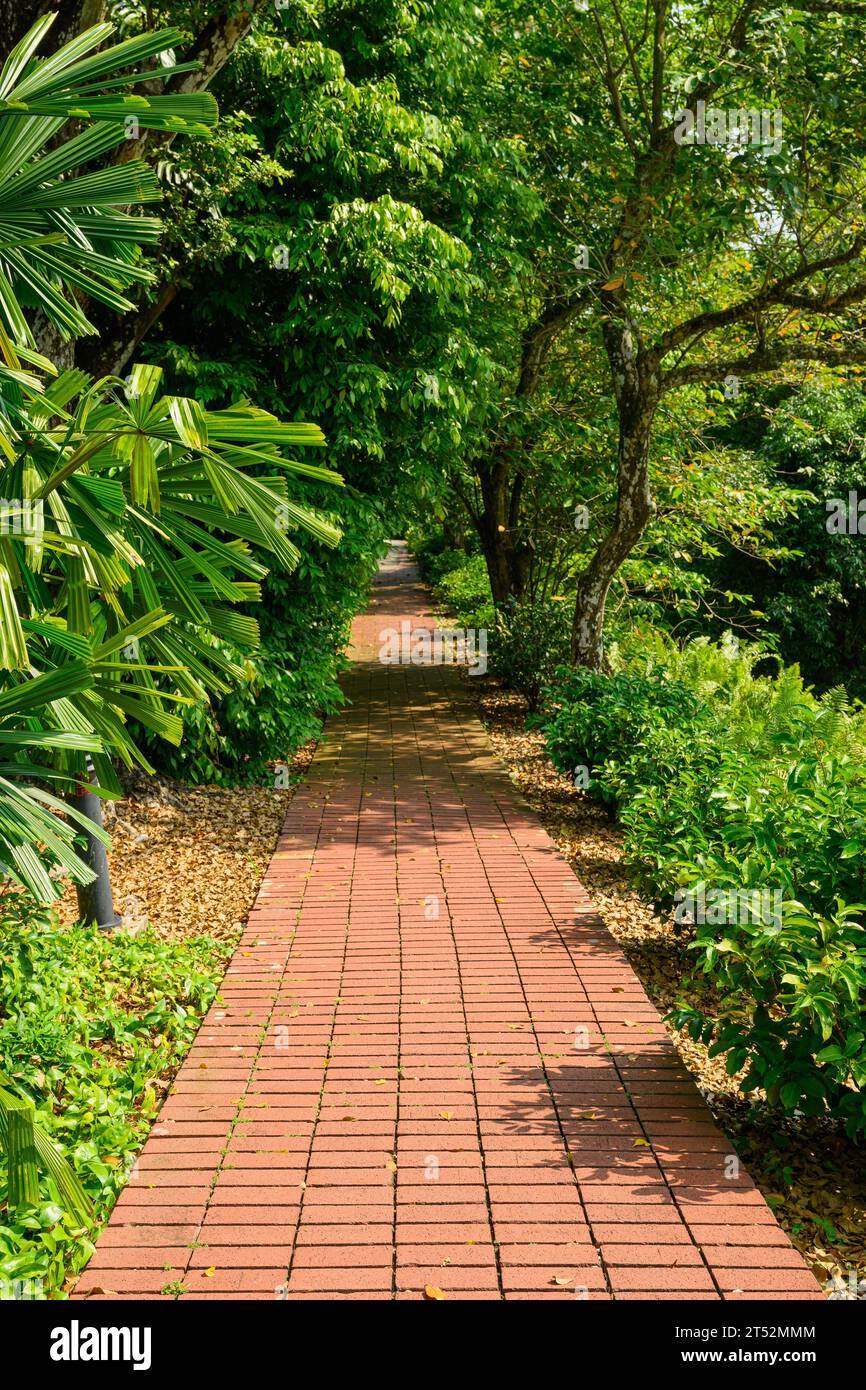Red brick path hi-res stock photography and images - Alamy