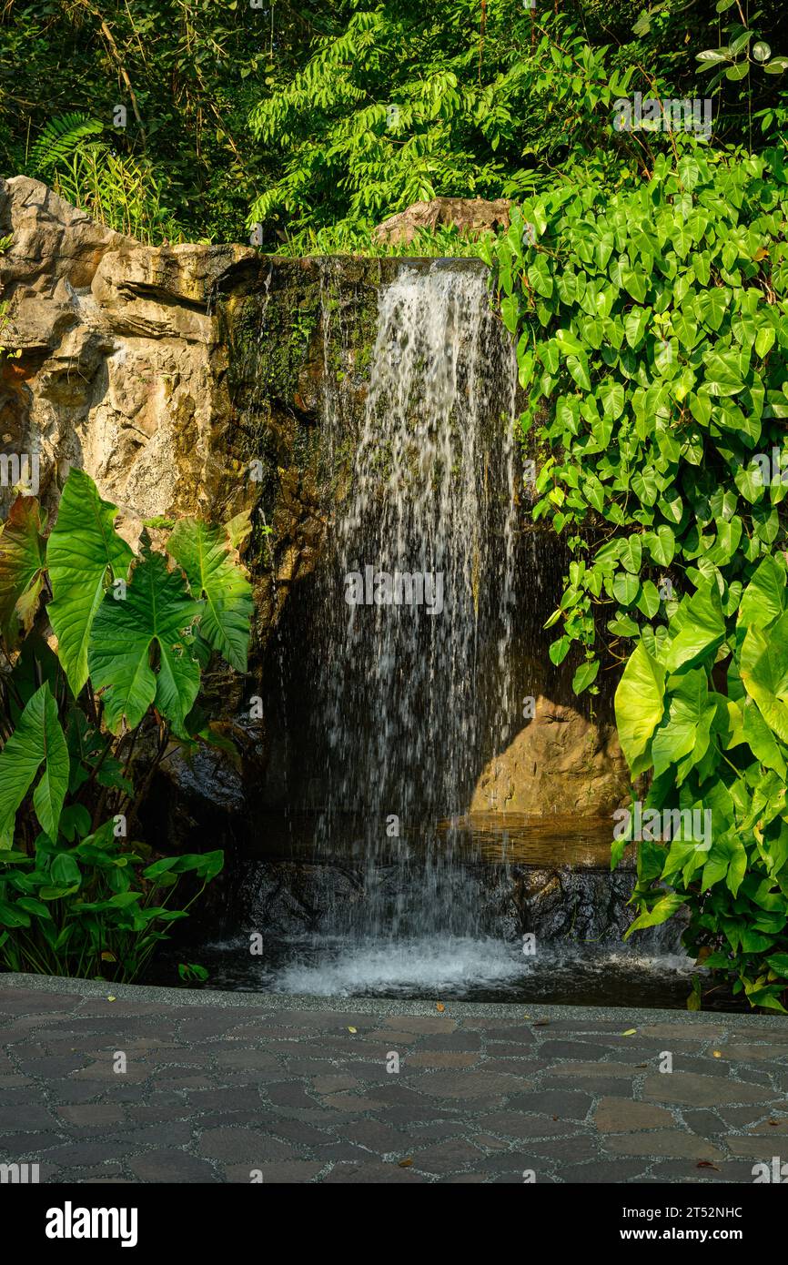 A waterfall at the Singapore Botanic Gardens, Singapore Stock Photo - Alamy