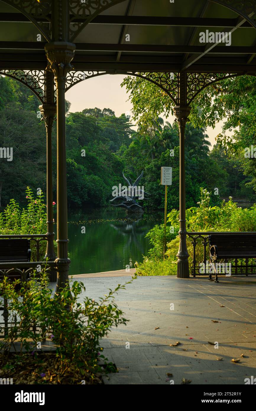 Swan kake hi-res stock photography and images - Alamy