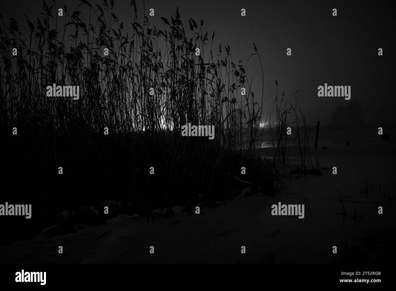 Reed water sky Black and White Stock Photos & Images - Alamy