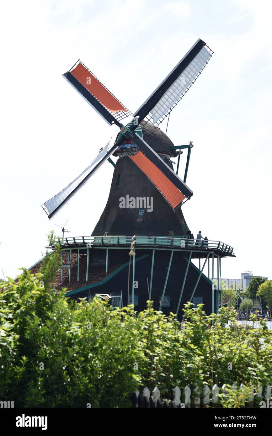 A scenic rural landscape featuring a classic Dutch windmill set against ...