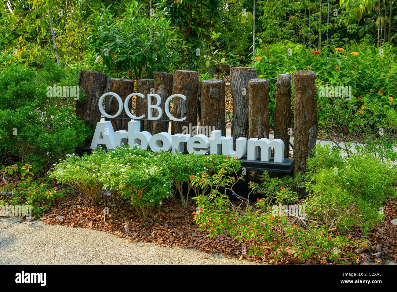 The OCBC Arboretum at Singapore Botanic Gardens Stock Photo - Alamy