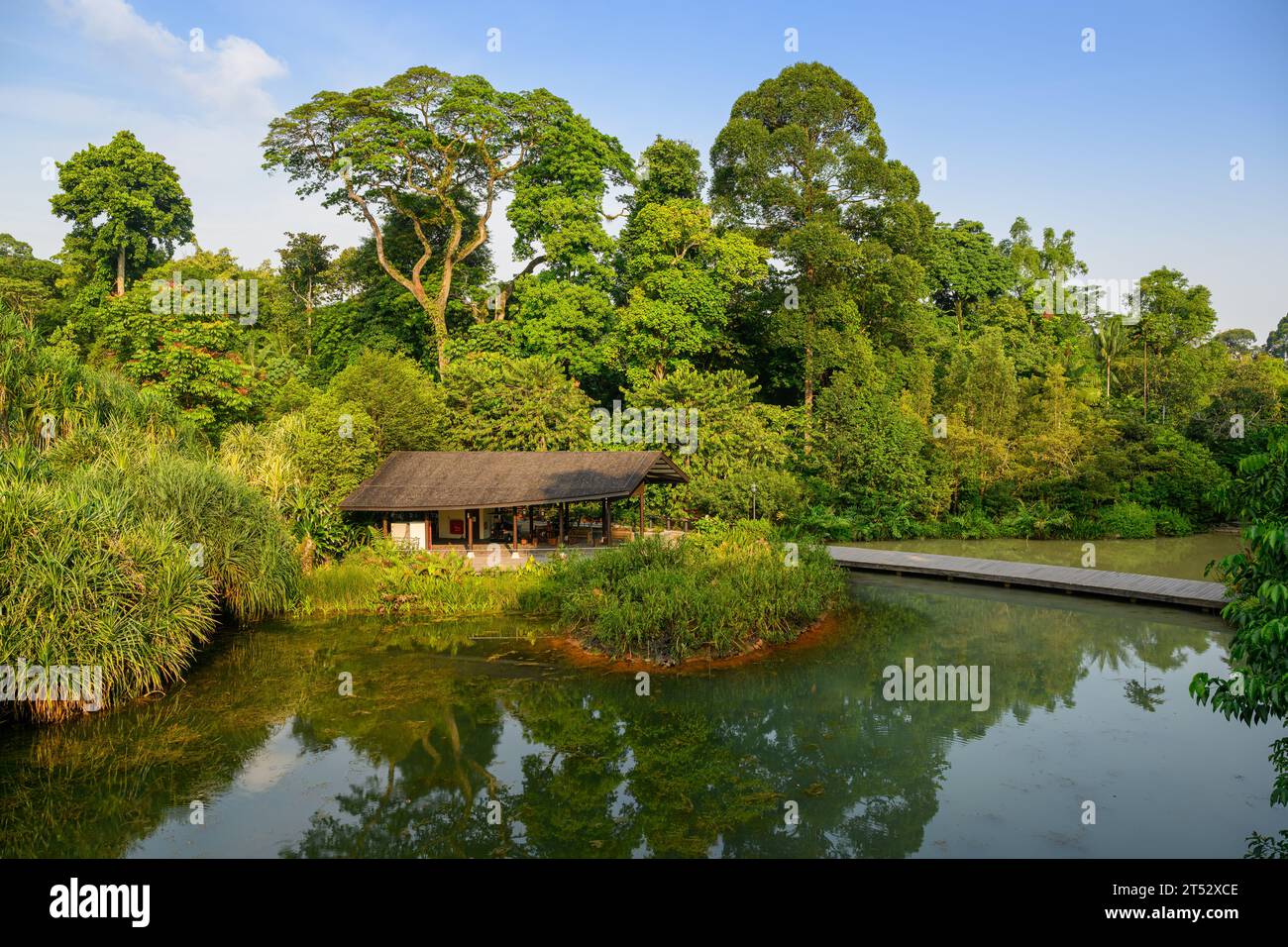 The Keppel Discovery Wetlands at Singapore Botanic Gardens Stock Photo ...